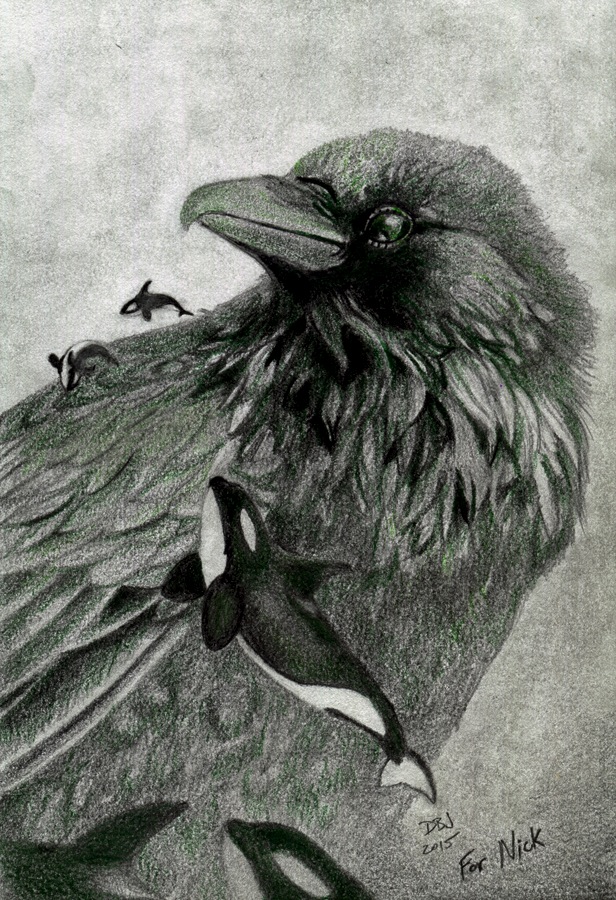Ravens and Orcas – Familiar Oddlings